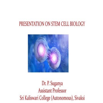 Sources of stem cells | PPTX