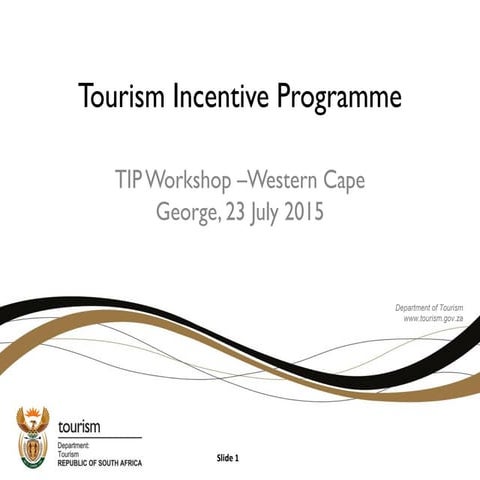 South Africa Tourism Incentive Programme workshop 23 July 2015 | PDF ...