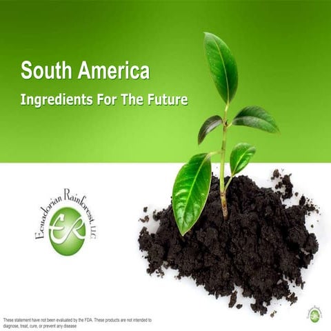 South americaningredients | PPT
