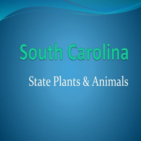 South Carolina State Symbols | PPT