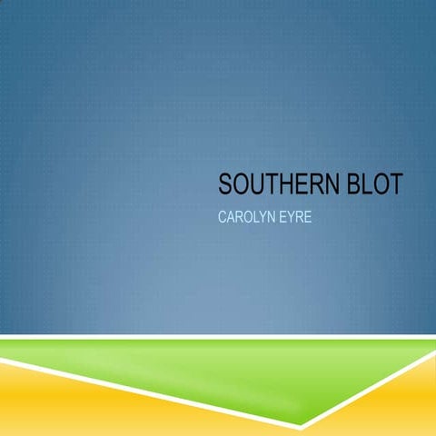 Southern blot power point | PPTX