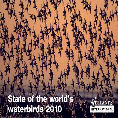 State of the World's Waterbirds 2010 - Full Publication | PDF