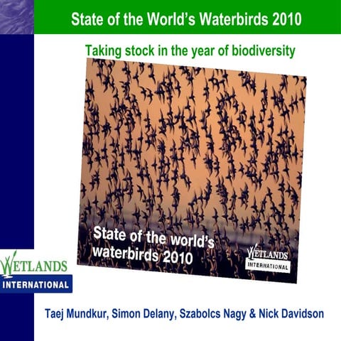 State of World's Waterbirds 2010 | PPT