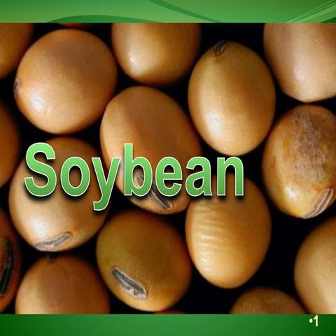Soyabean | PDF