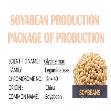 Soyabean | PPTX