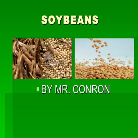 Soybeans[1] | PPT