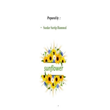 sunflower.ppt | PPTX