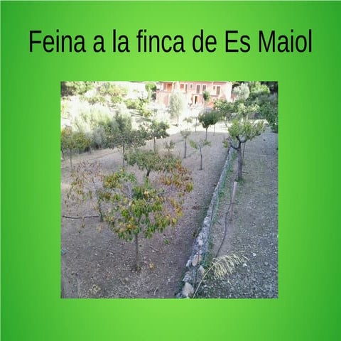 Vivek Mehta_Resume | DOCX