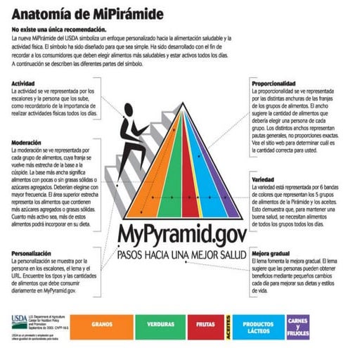 Sp my pyramid-anatomy | PDF