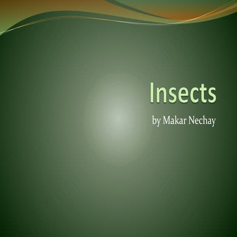 Insects | PPTX