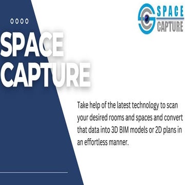 Space capture | PDF