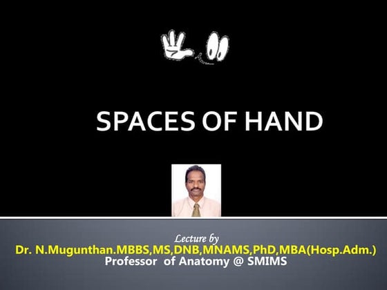 Spaces of Hand and Forearm | PPT