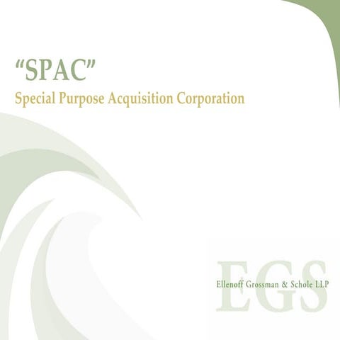 Spac ppp | PDF