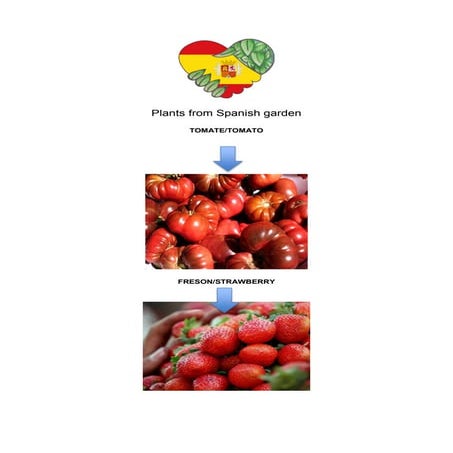 Spain - 10 plants from Spanish garden | PDF