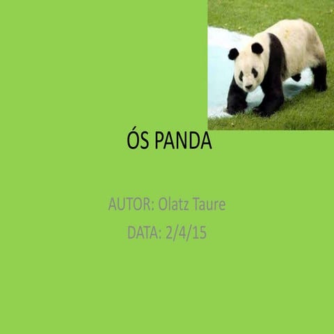 Os panda Olatz | PPT