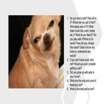 Topic: Animals Part 1-Speaking Questions for Warm-ups | PPTX