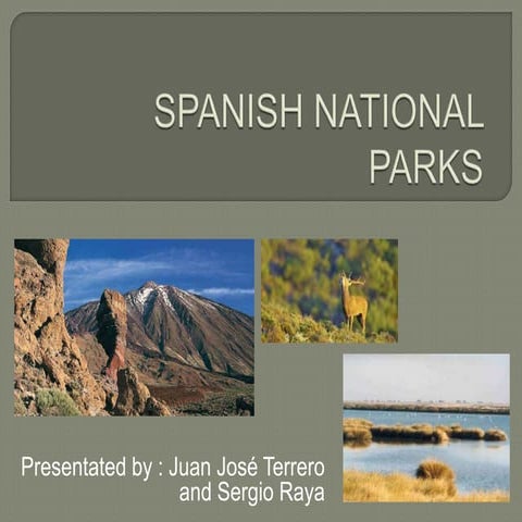 Spanish national Narks | PPT