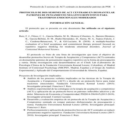 SPANISH RNT-focused ACT Protocol Ruiz et al. 2018.pdf