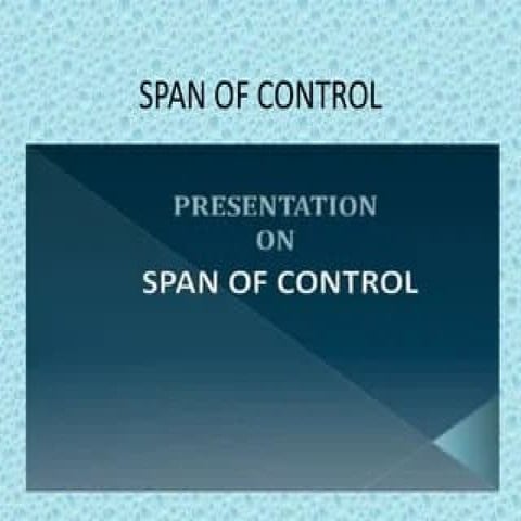 Span of Control Presentation on the college level.pptx