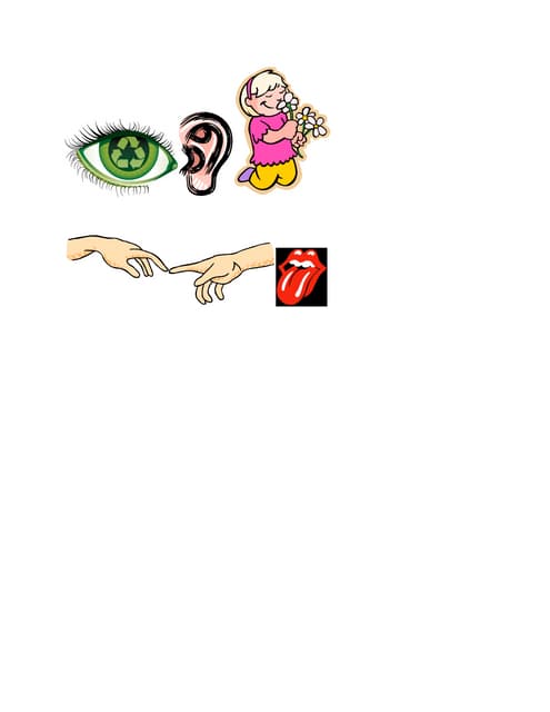 List of Rock Bands | PDF