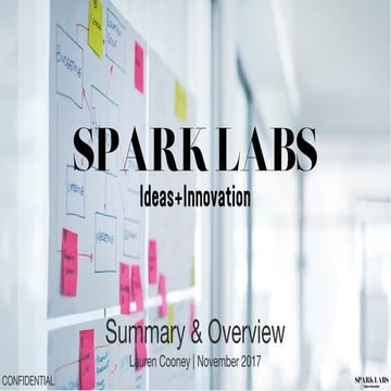 Spark Labs: Overview & Services | PDF