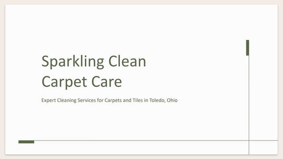 Sparkling Clean Carpet Care presentations