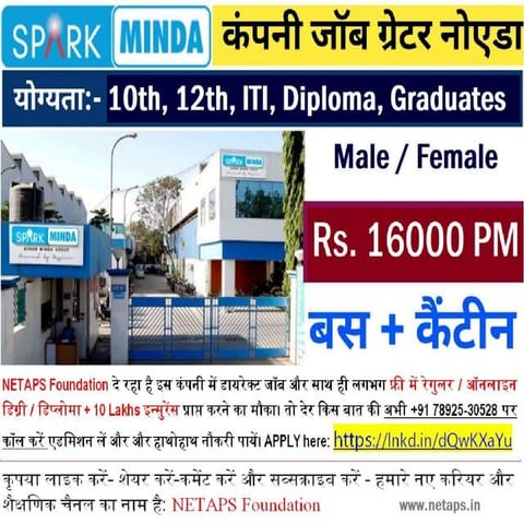 Spark Minda Ltd - NETAPS Foundation1.pptx