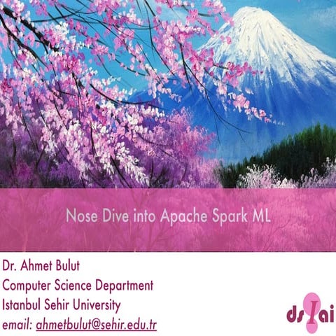 Nose Dive Into Apache Spark Ml Ppt 2966