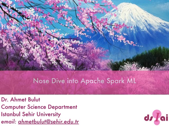 Nose Dive Into Apache Spark Ml Ppt 2966