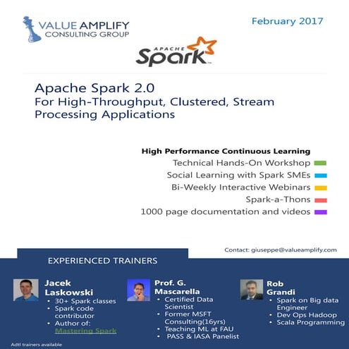 Spark Training Program Value Amplify Consulting Pdf