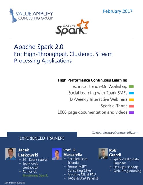 Spark Training Program Value Amplify Consulting Pdf