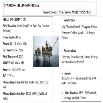 Sparrow Field- Presentation | PPTX