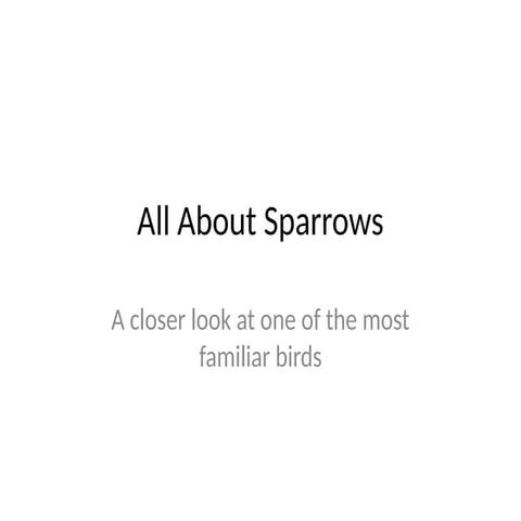 Sparrow_Presentation.pptxaboutbirdsand spraeow bestppt informahtuonal sus | PPTX