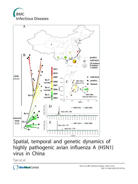 Sample, disease modeling vzv | PDF | Infectious Diseases | Diseases and ...