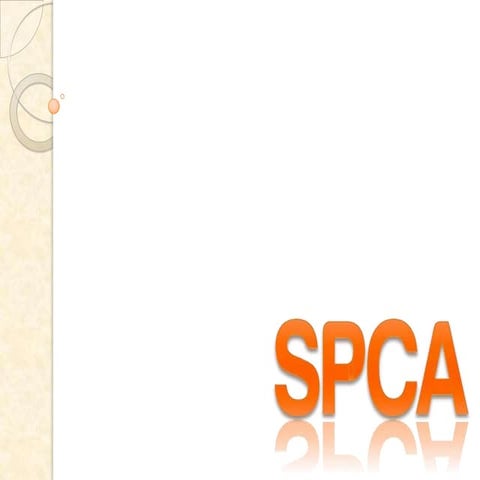 Spca corporate services | PPTX