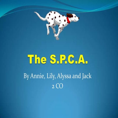 SPCA project 2CO | PPTX