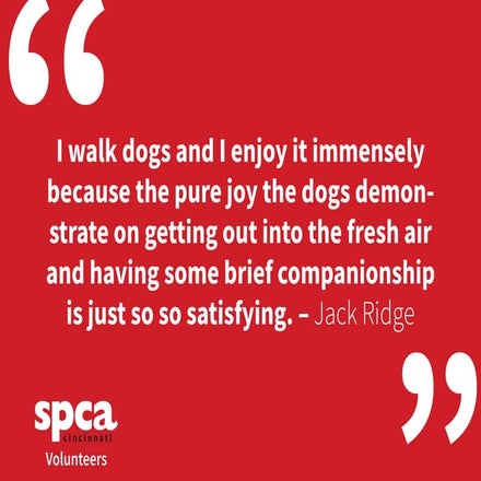 SPCA Volunteer Quotes | PDF