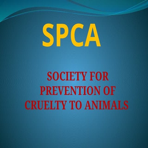 SPCA Society for Prevention of Cruelty on Animals 01.02.2024.pptx