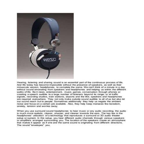 Speakers3 | DOCX | Digital Audio | Computer Software and Applications