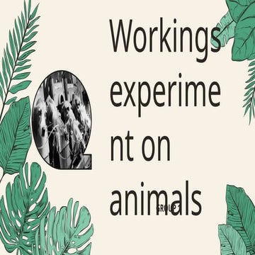 Thuyeet Trình animals SPEAKING TEST .pptx