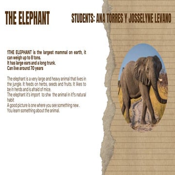Speaking The elephant animals sddssdssss | PDF | Fish and Aquariums | Pets
