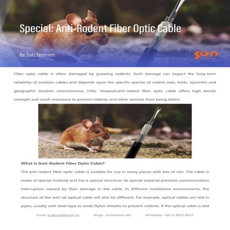 Special Anti-Rodent Fiber Optic Cable | PDF