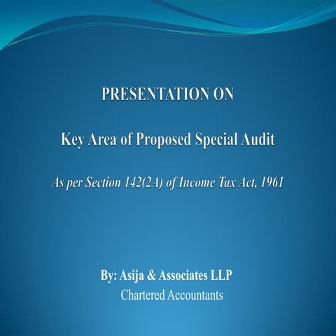 Special audit | PDF