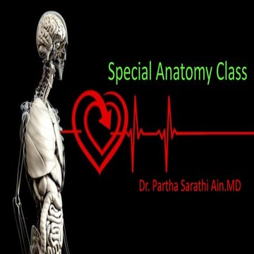 Special class.pptx