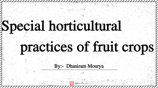 scope & importance of fruit and plantation crop in india.docx
