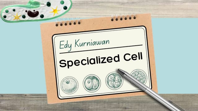 Cells-and-Organisation-L4-Specialised-Cells-PowerPoint.pptx