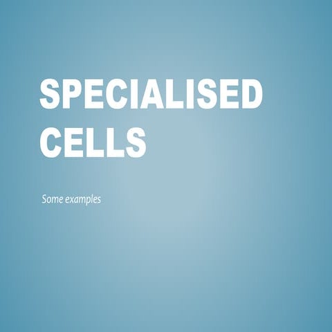Specialised cells | PPTX