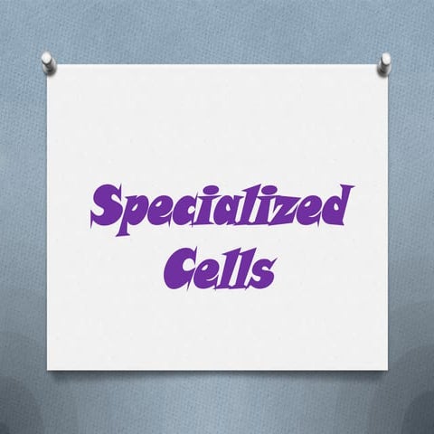 Cells-and-Organisation-L4-Specialised-Cells-PowerPoint.pptx