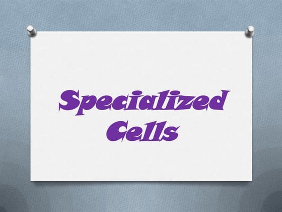 Cells songs-and-lyrics | PDF | Biological Sciences | Science