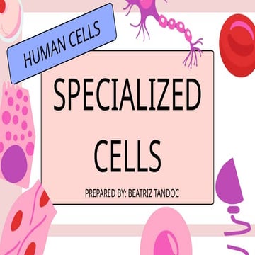 Specialized Cells Biology Presentation in a Blue and Pink Style.pptx